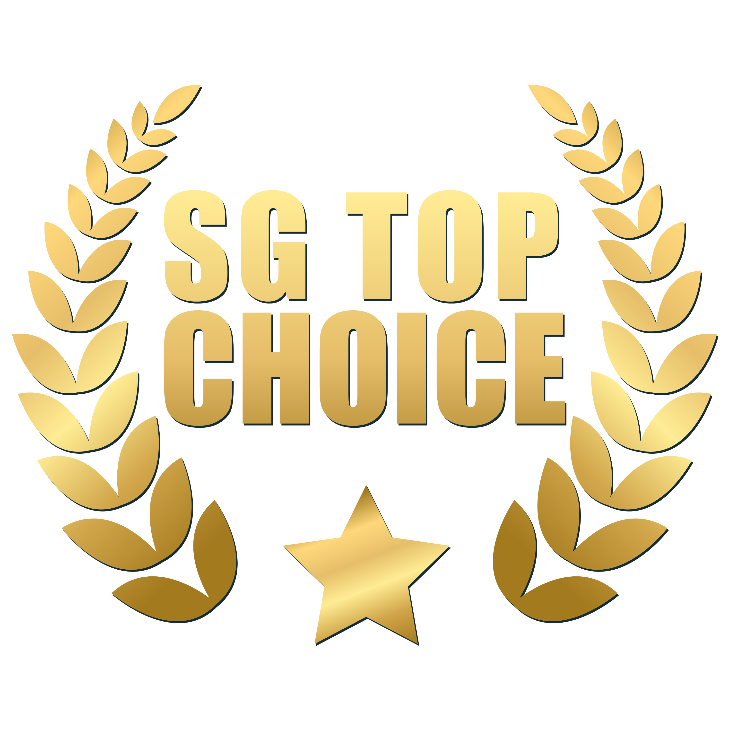SG-Top-Choice-Logo - Ninja Cool